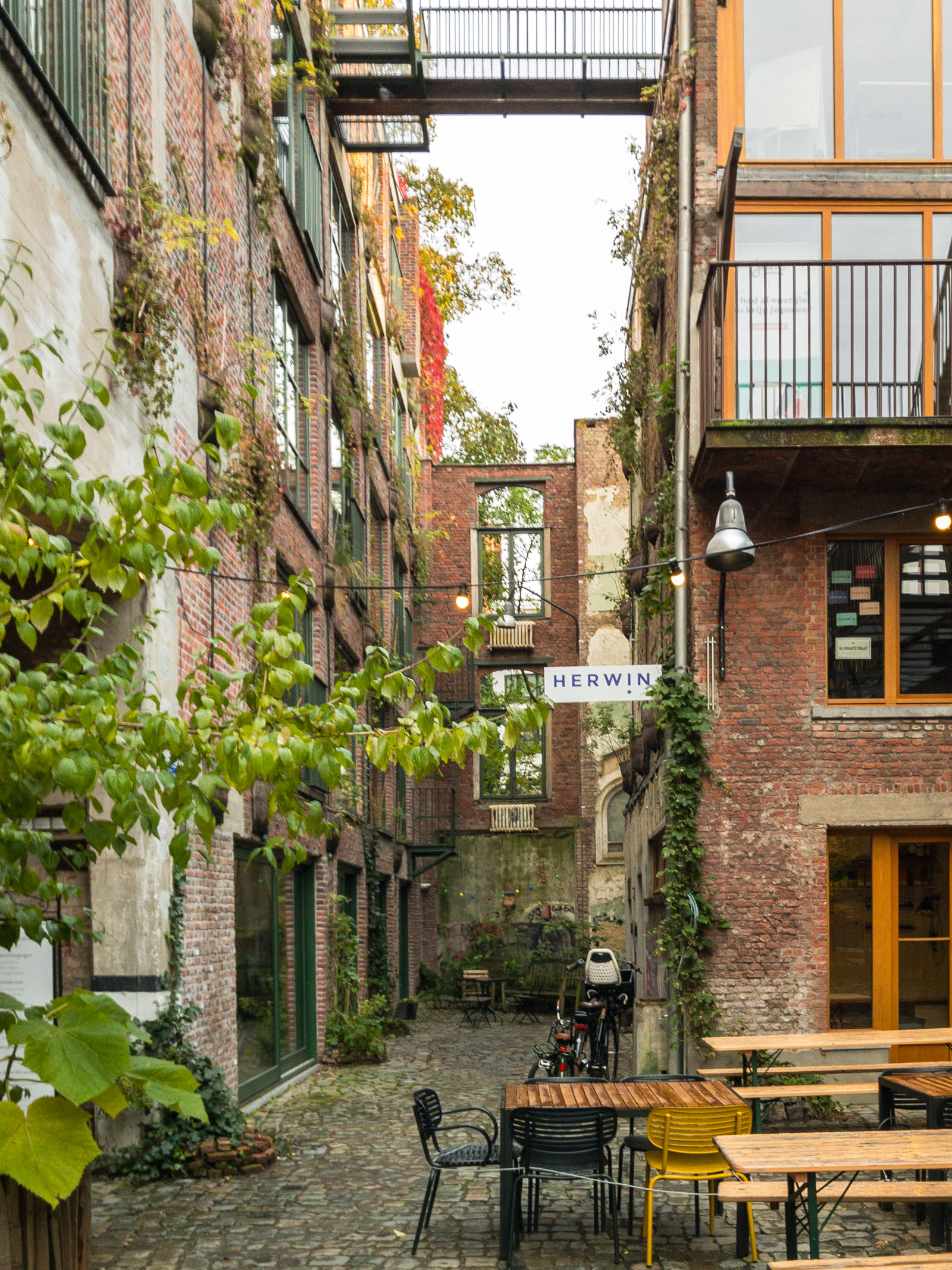 Florida is going to Hell in a Handbasket. - Democratic Underground Forums